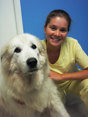 Our Team | Oakview Animal Hospital